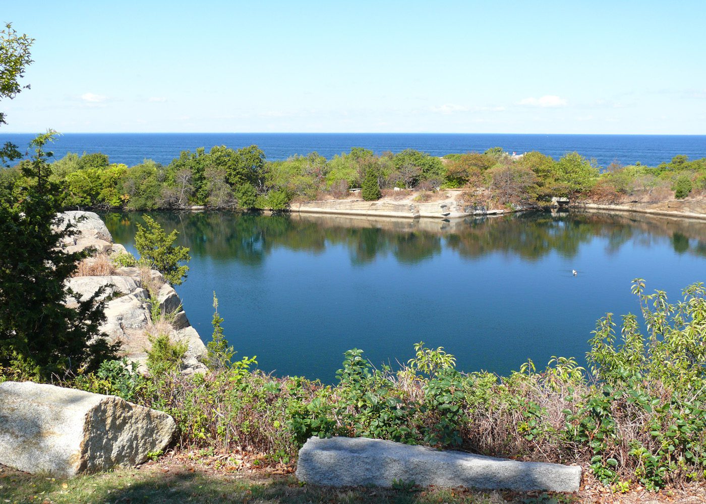 Top Spots for Birding Along the Essex Coastal Scenic Byway