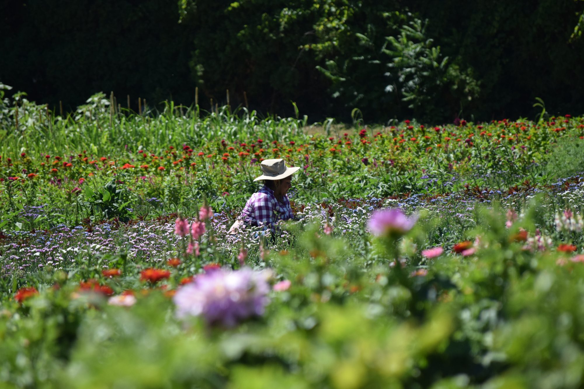 5 Fantastic Farms Along the Essex Coastal Scenic Byway